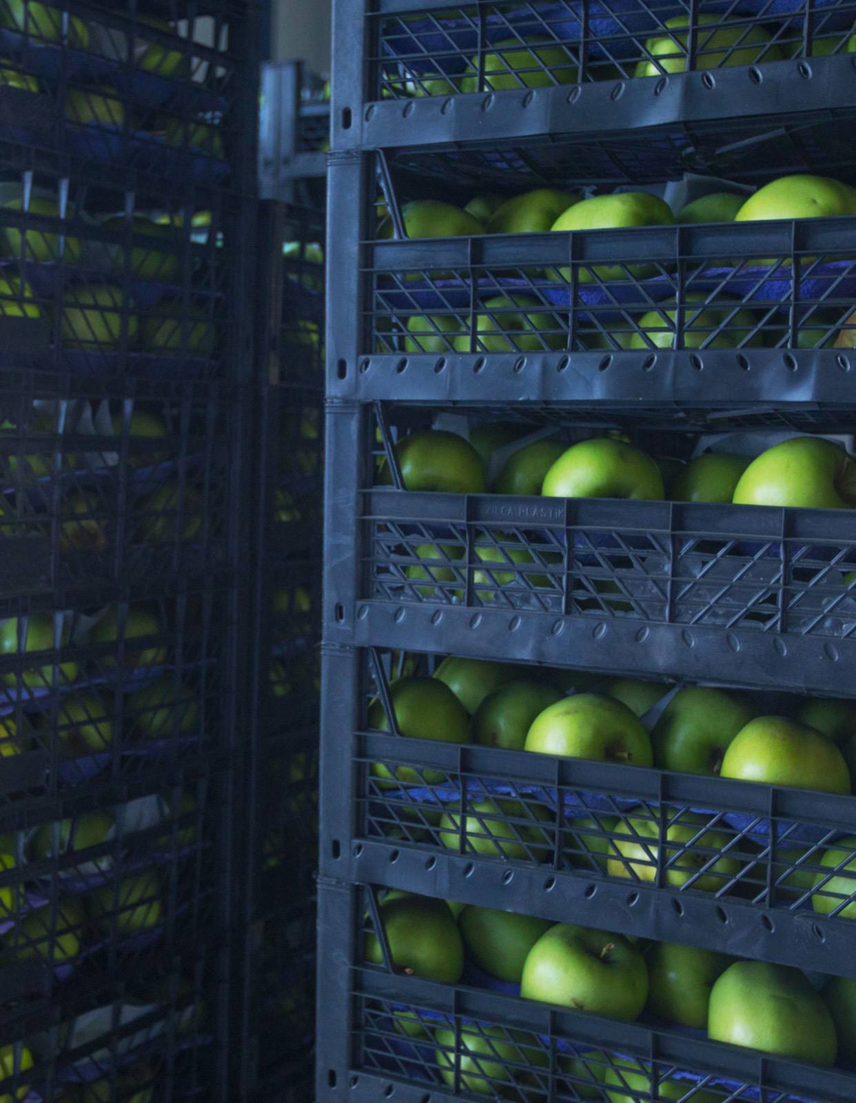 Retail - General Produce