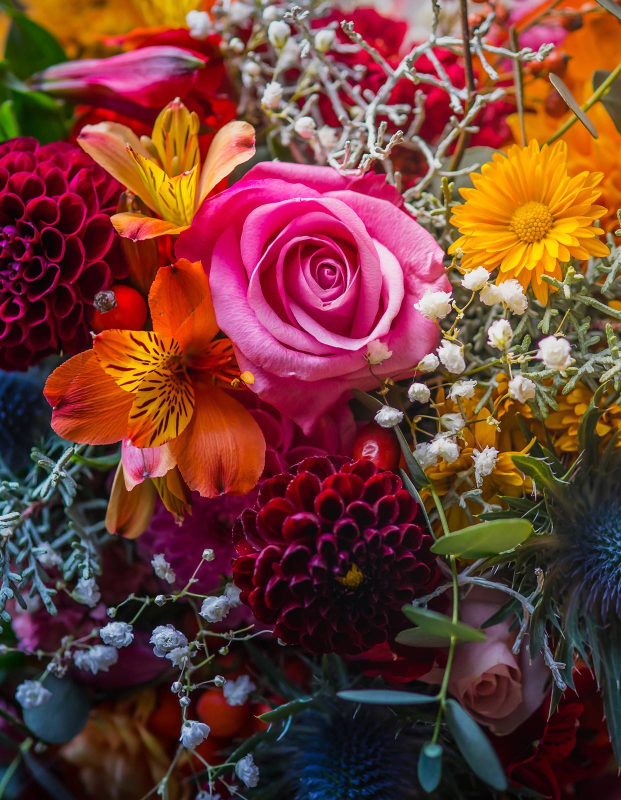 Products - General Produce