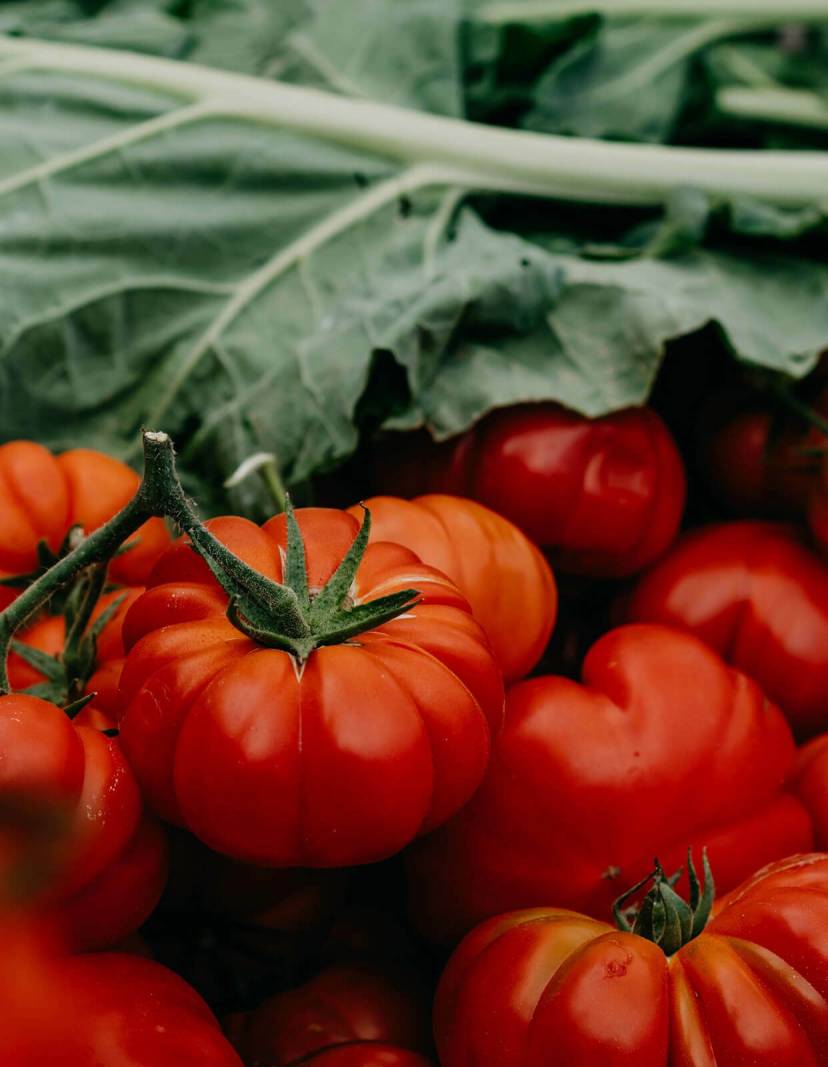 Retail - General Produce