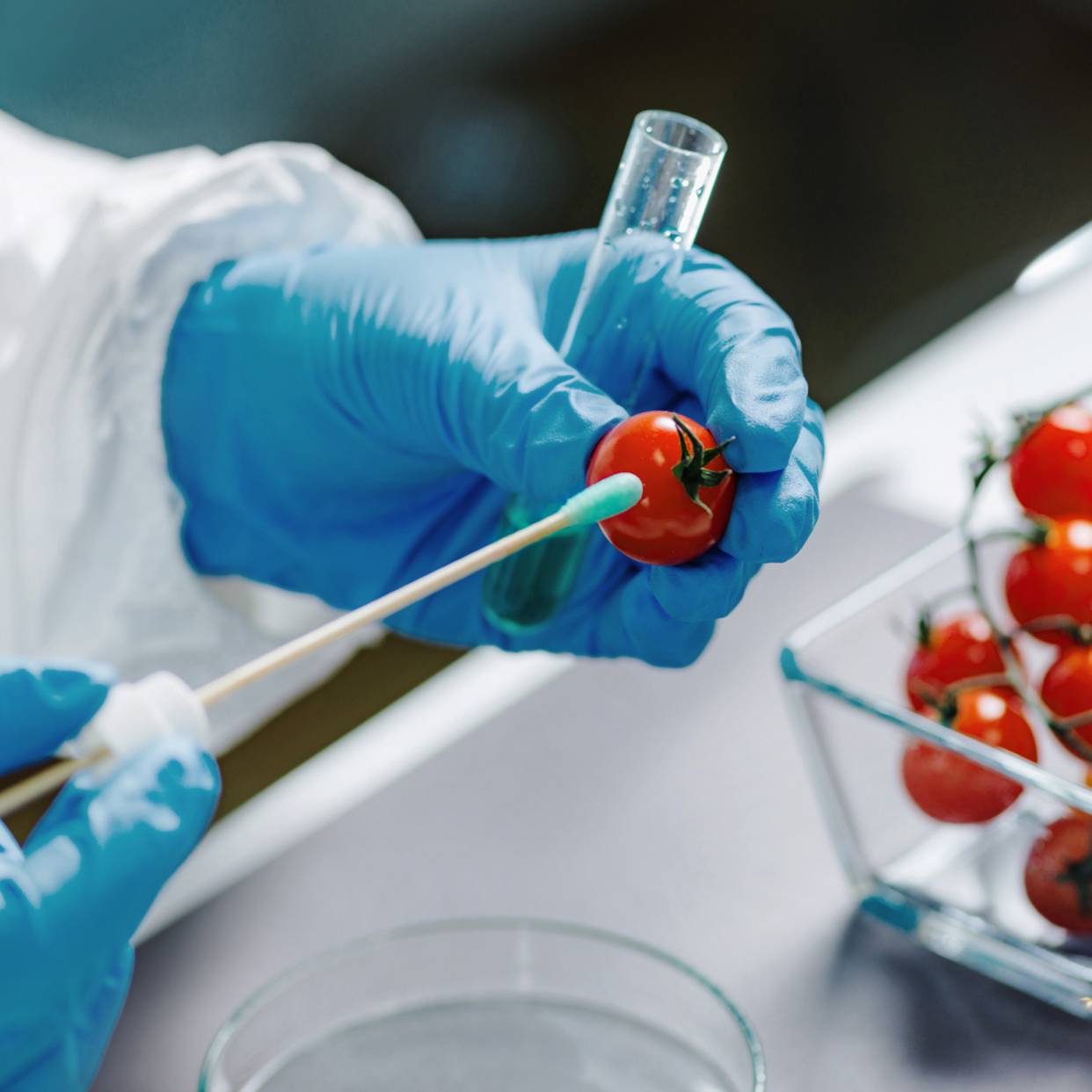 Food Safety & Sustainability - General Produce