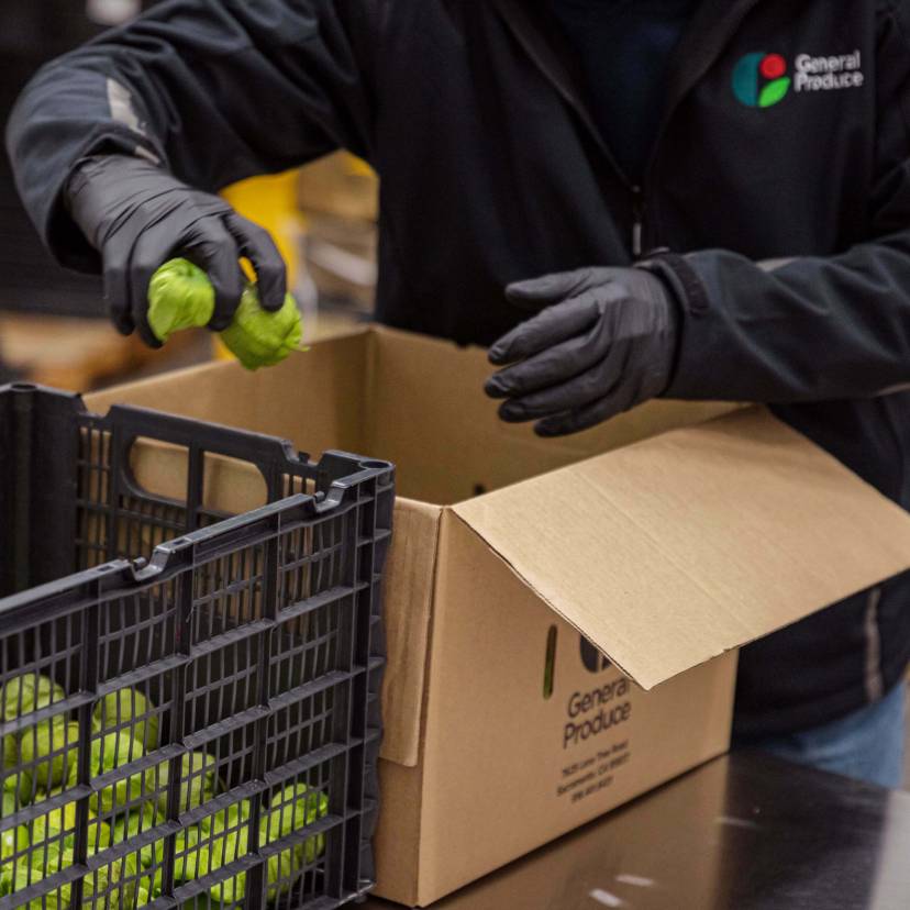 Repacking - General Produce