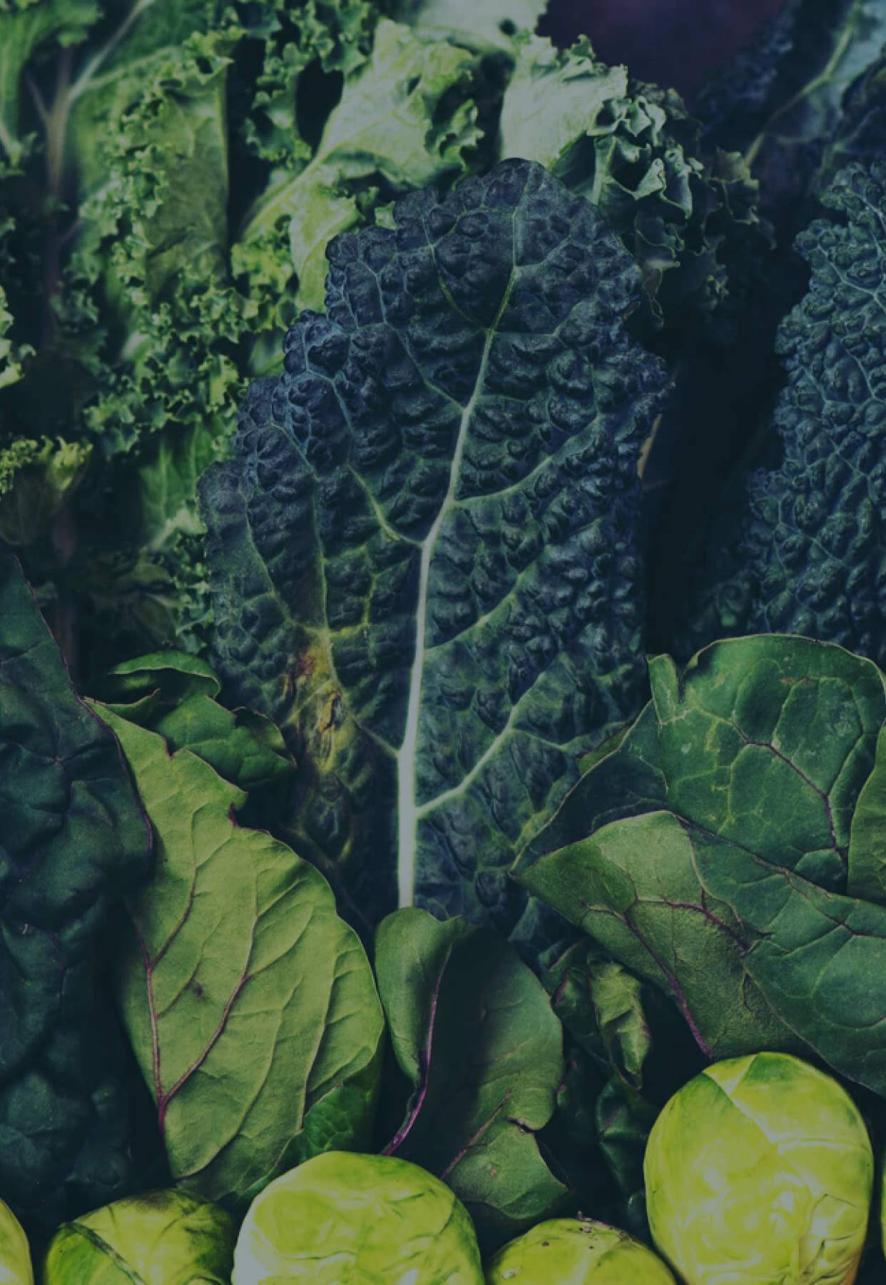 About - General Produce