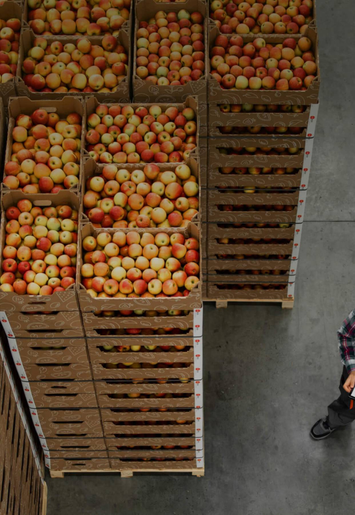 Pro*Act - General Produce